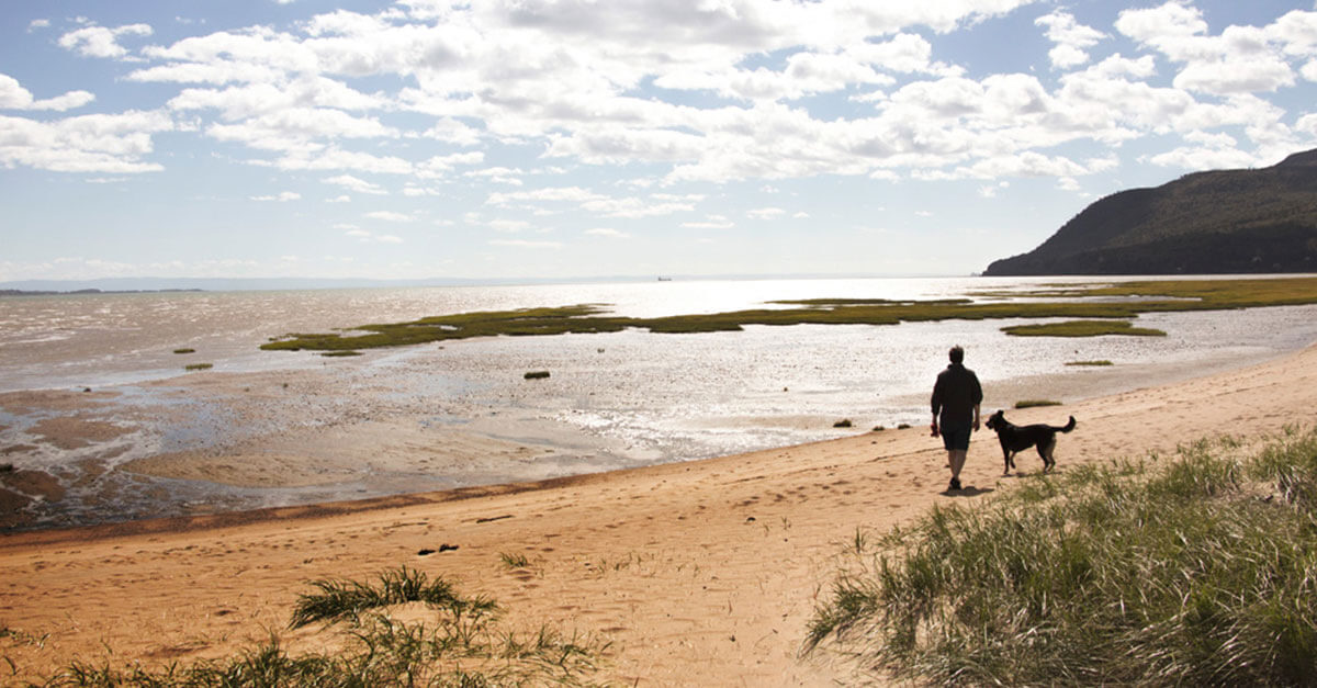 11 choses à faire l’été à Baie-Saint-Paul et ses environs dans Charlevoix